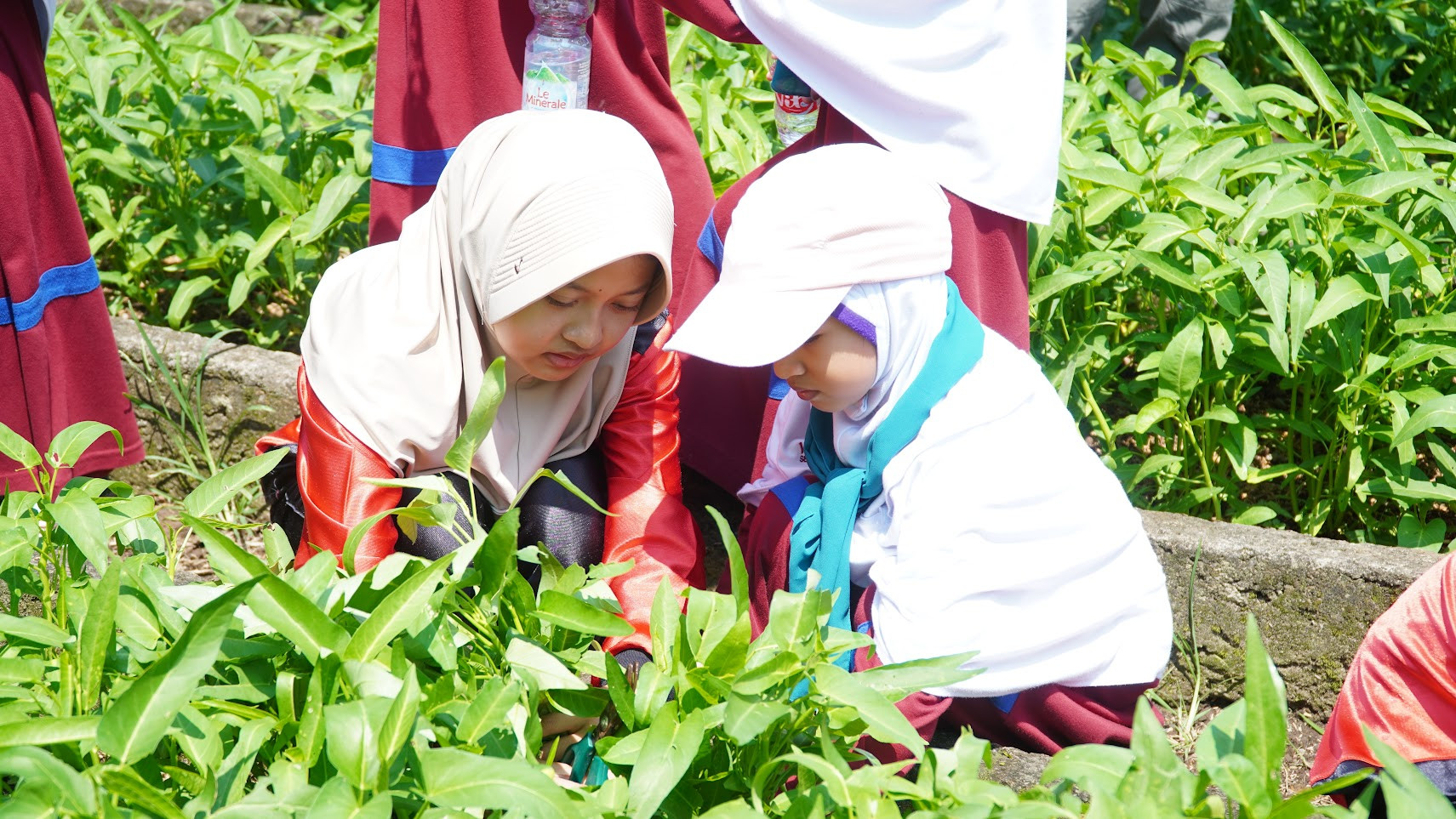 Jejak Ilmu di Jimmy Hantu – SIT Insantama